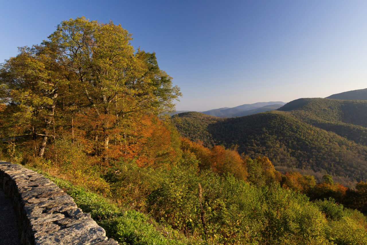 Visit Shenandoah Valley - Fab Fall Foliage & Fat Black Bears