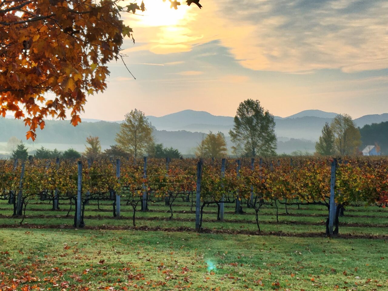 Visit Shenandoah Valley - Find What You Love in Nelson County, Virginia
