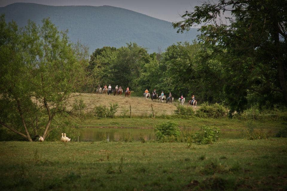 Jordan Hollow Stables - Visit Shenandoah Valley